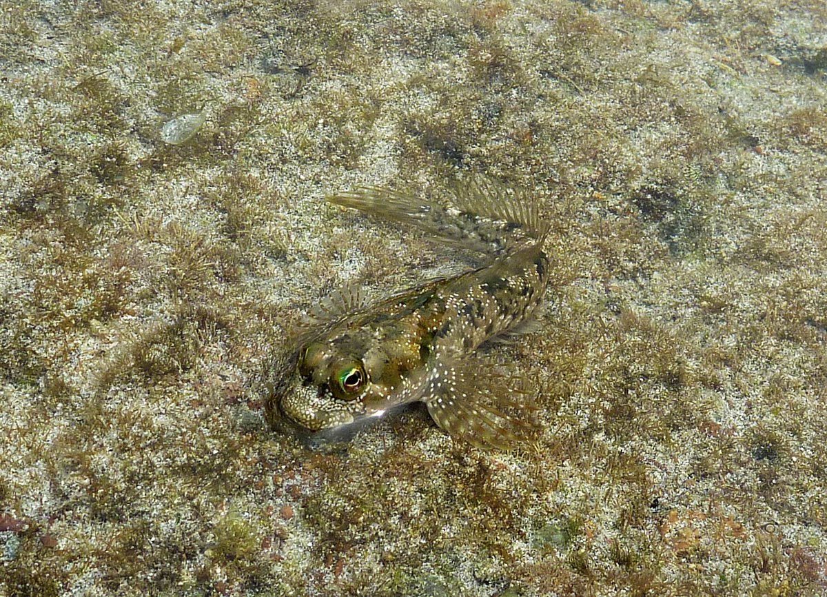 November 2013 - Panama to Ecuador